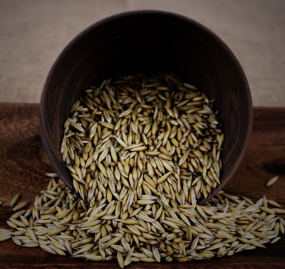 Oat Seed - Meridian Seeds
