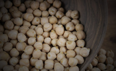 Kabuli Chickpea Seed - Meridian Seeds