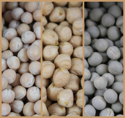 Pulse Crops - Meridian Seeds